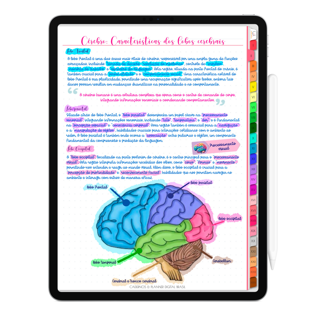 Caderno Digital para iPad e Tablet Android - Tudo para seus estudos ...
